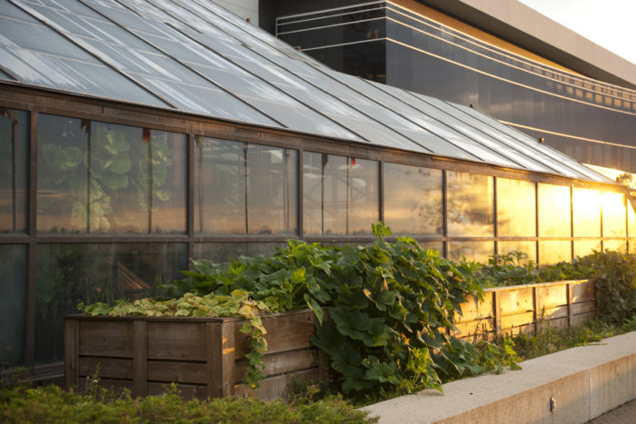 Let the sun shine down: Six things to know about solar at the Edmonton ...